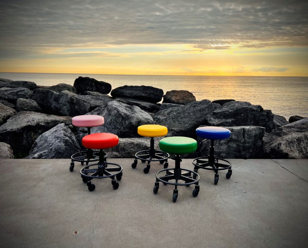 All Purpose Hi-Lo Stool |Easy Rolling | Made in North America | Cardon