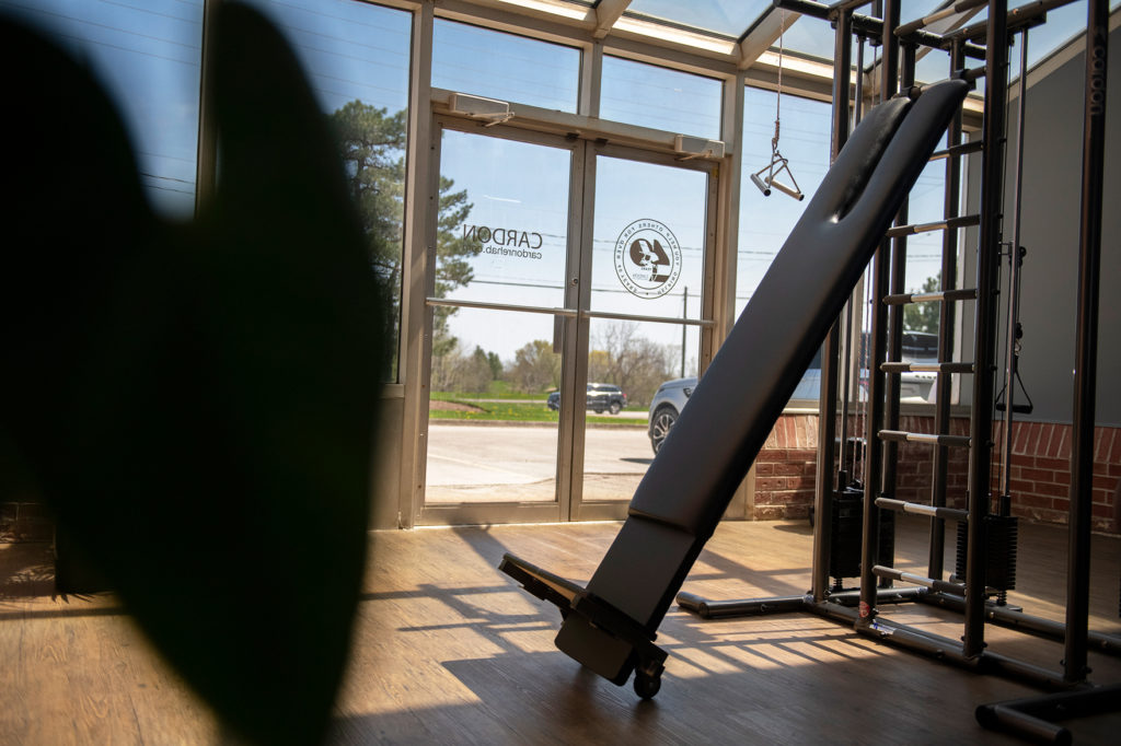 Mounting Ladder and Incline/Slant Board | Therapeutic Exercise ...