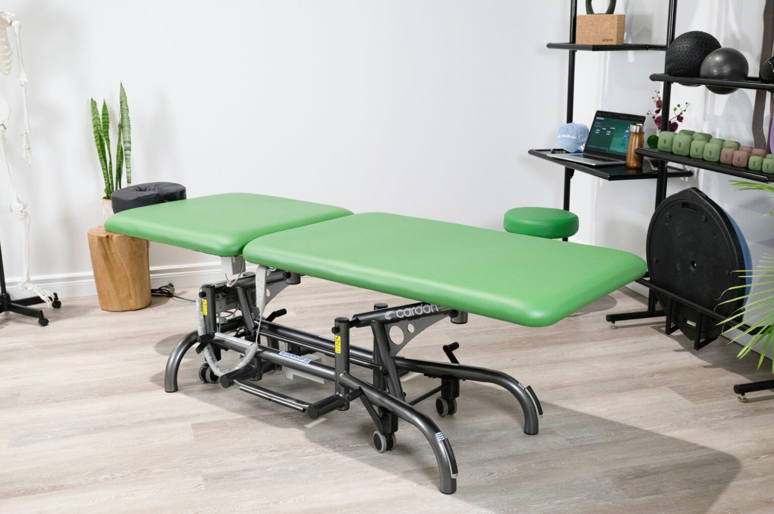 Electric Hi-Lo Massage Table | Massage Therapy | Treatment Table | Cardon