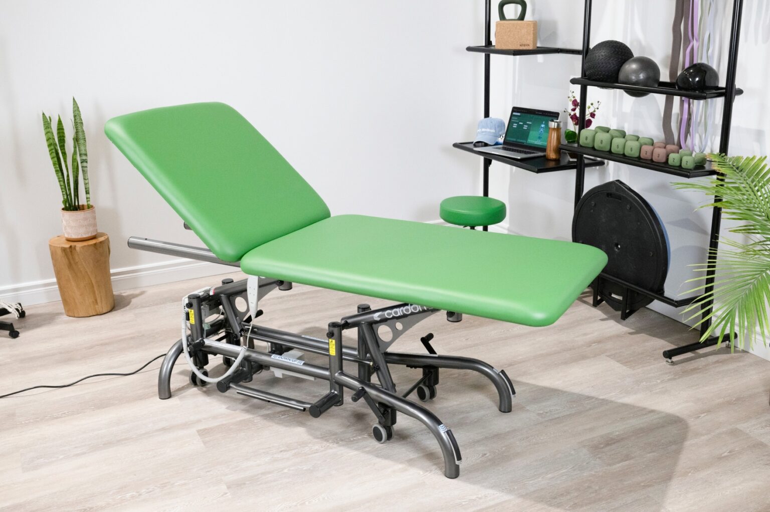 Electric Hi-Lo Massage Table | Massage Therapy | Treatment Table | Cardon