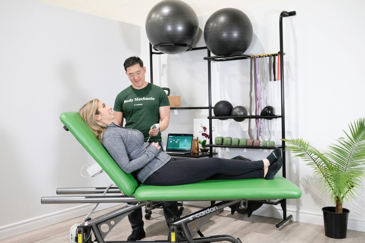 Electric Hi-Lo Massage Table | Massage Therapy | Treatment Table | Cardon